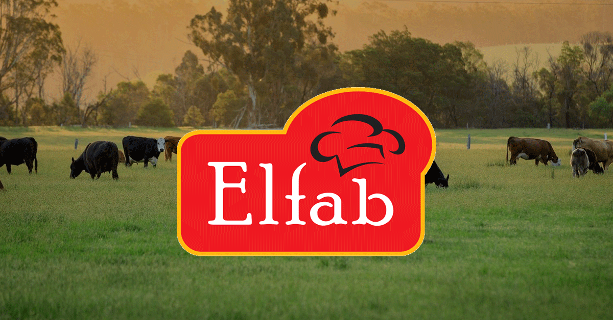 Order Seafood online | Fresh and Flavorful | Elfab Dubai – Elfab Shop