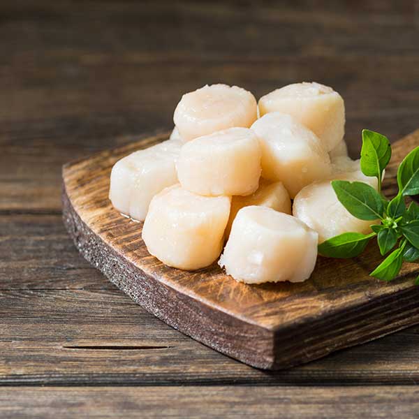 USA Scallops Roe Off Medium Frozen 500g – Elfab Shop